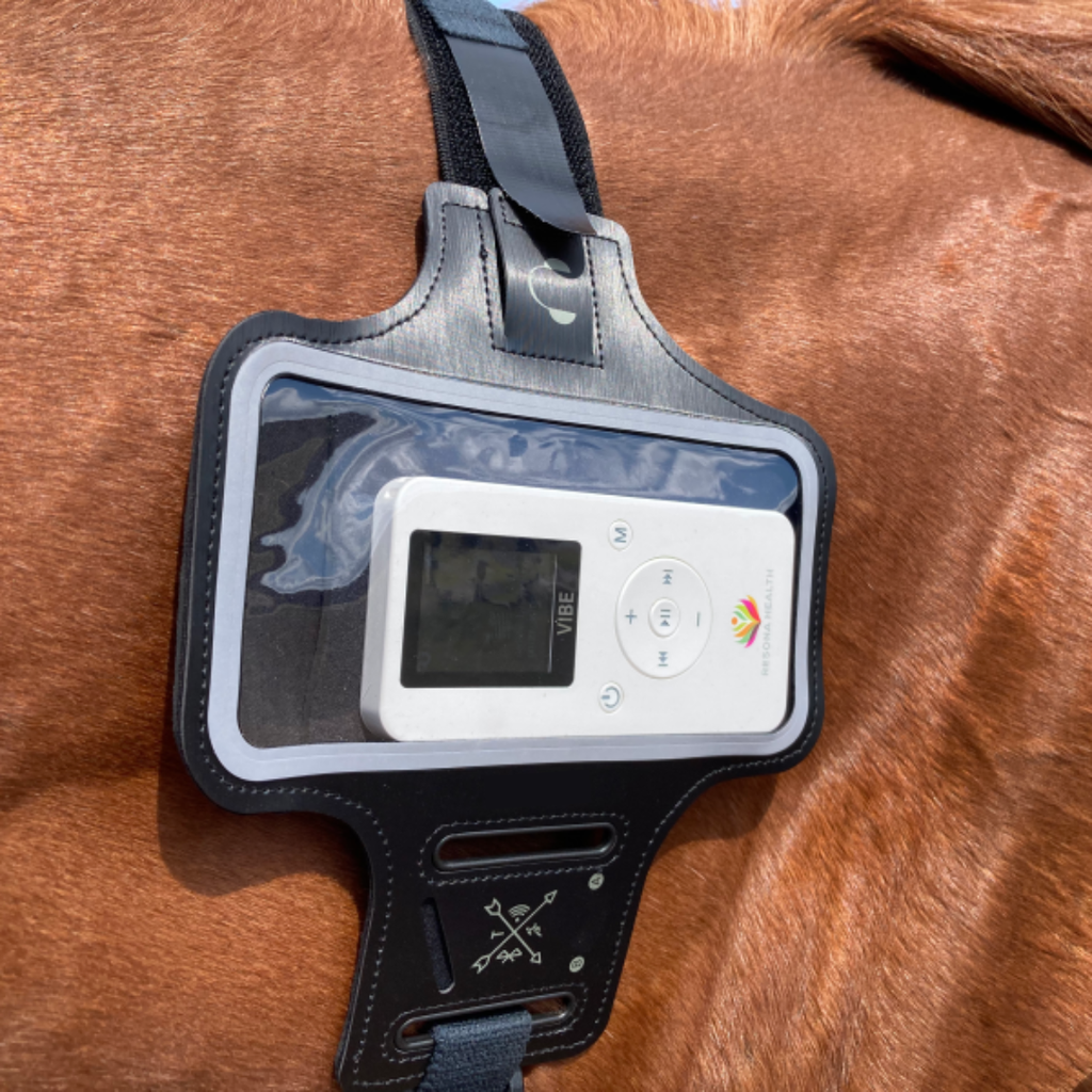 How to Use VIBE PEMF Protocols for Specific Conditions & Wellness ...